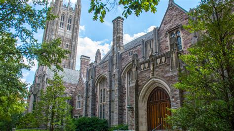 What Are The Ivy League Schools College Transitions