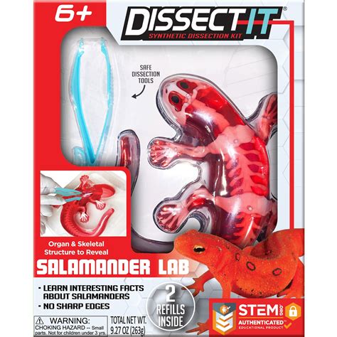 Dissect It Salamander Lab Synthetic Dissection Kit Realistic And Safe