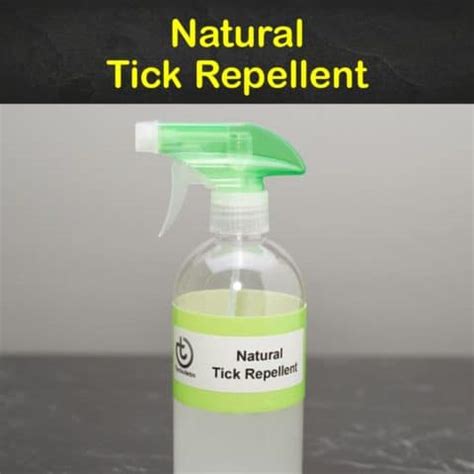 8 Easy And Effective Tick Repellent Solutions
