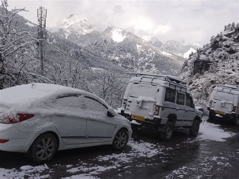 Manali Treehouse And Cafe Prini Campground Reviews Photos Rate