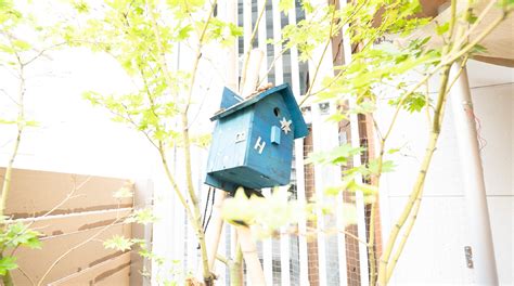 モニカ矢口渡園 株式会社モニカ