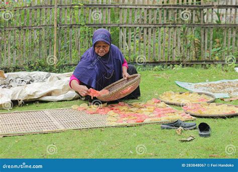 A Farmer Is Drying Coffee Beans In The Sun Drying Coffee Beans In The Sun At A Coffee Plantation
