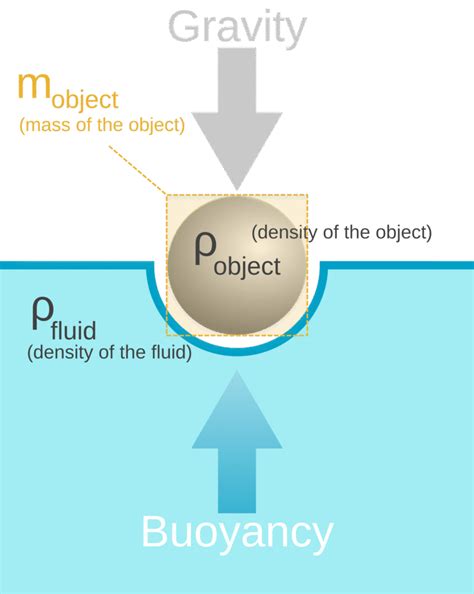 What Is Buoyancy The Physics Of Floating