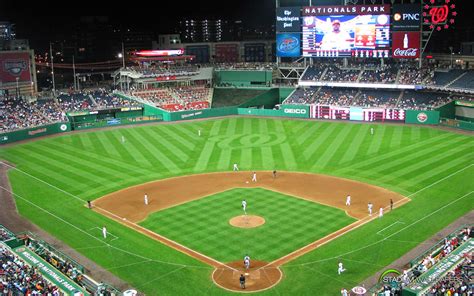 El Beisbol El Campo Y La Colocación Del Equipo