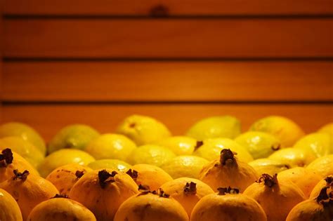 Feria De La Guayaba En Calvillo Aguascalientes México Desconocido