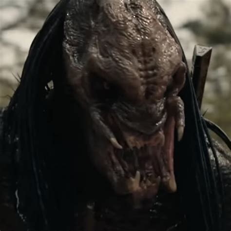 Harry Probert Youtube