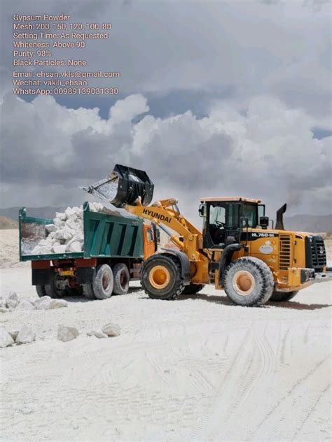 Gypsum Gypsum Powder Iran 中国 伊朗 石膏粉 透明石膏 石膏 Ehsan Vakili