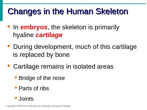 The Skeletal System Structure Function And Diseases