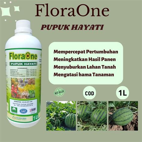 Jual Pupuk Pgpr Perangsang Pertumbuhan Tanaman Pupuk Organik Hayati