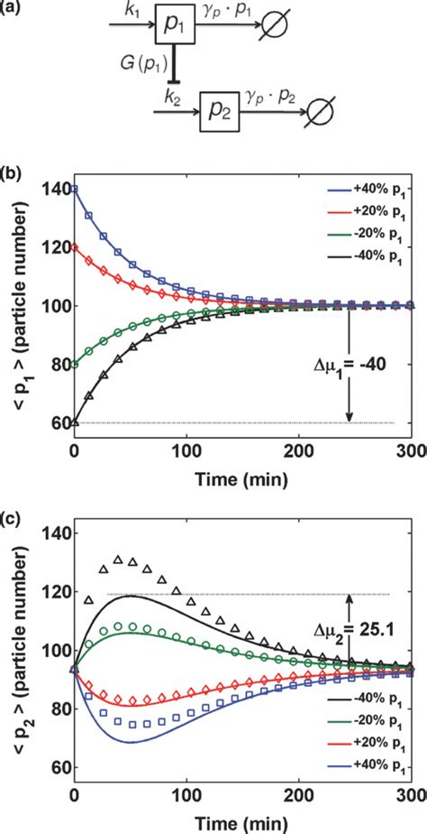 a nonlinear gene regulation model and its dynamic responses a