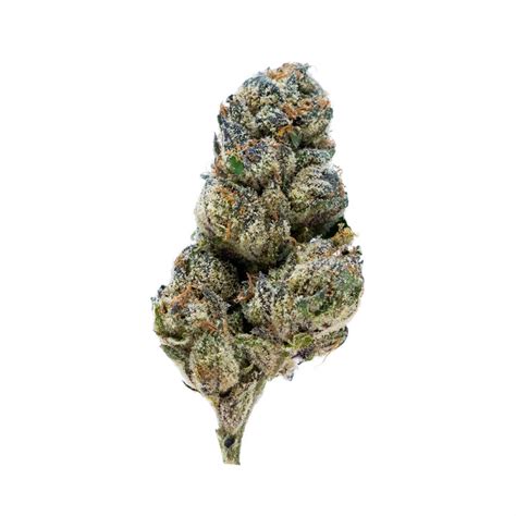 Premium Thca Flower Collection Gold Spectrum Cbd