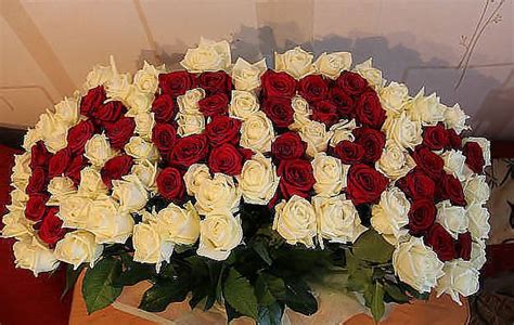Что подарить маме на 53-54 года - интересные идеи сюрпризов от сына и ...
