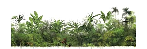 Green Wild Grass In The Landscape Ai Generated 28574062 Png