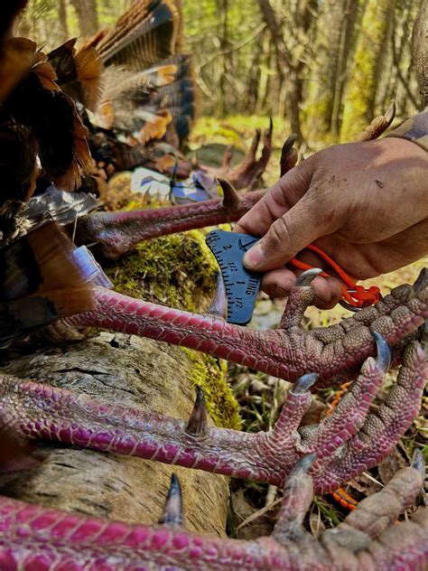 Voici Le Retour Zone Chasse Et Pêche Ecotone Val Dor Facebook