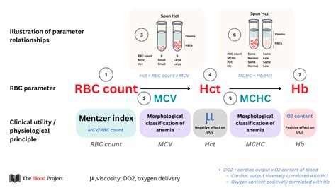 Journey From Rbc Count To Hct To Hb • The Blood Project