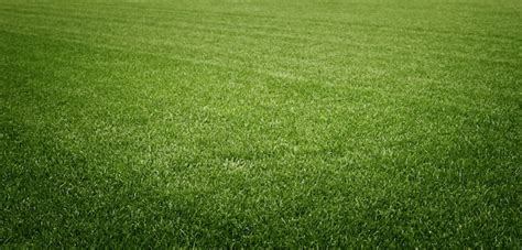 Campo De Fútbol Con Pasto Verde Fondo De Césped Deportivo Foto Premium