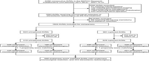 International Journal Of Surgery