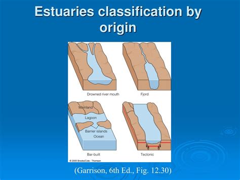 Ppt Coasts Beaches And Shoreline Processes Powerpoint Presentation