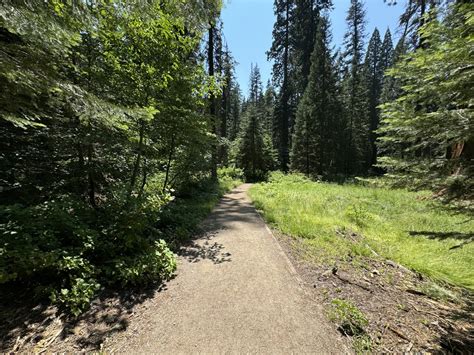 Hiking The Hazelwood Nature Loop Trail In Sequoia National Park — Noahawaii