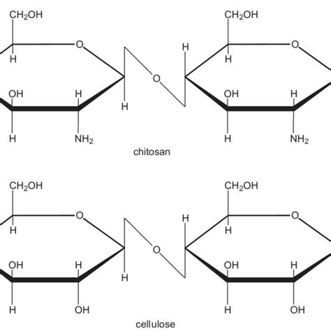 Chemical Structure Of Chitosan Top And Cellulose Bottom Download Scientific Diagram