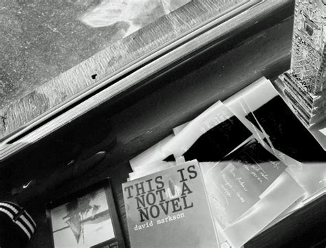 Laura Sims And Ann Beattie Discussed David Markson Markson And Gaddis Vitro Nasu