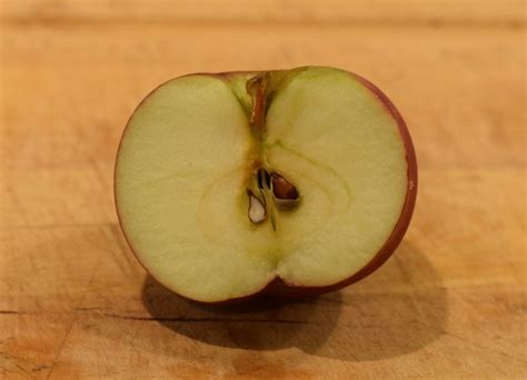 Applesauce Or Apple Pie Judyschickens