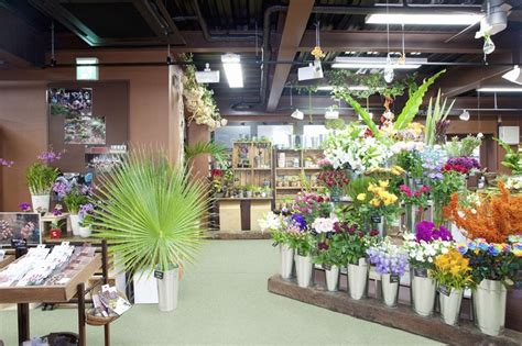 Altro Contrax™ Budget Vinyl Flooring Solution Altro Uk