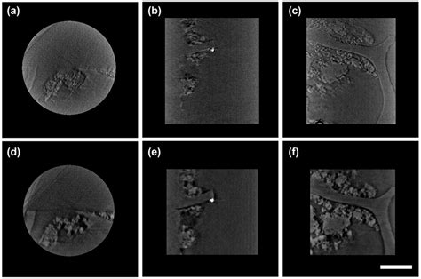 Three Directional Orthogonal Sections Of Laboratory Made Bc And Mineral