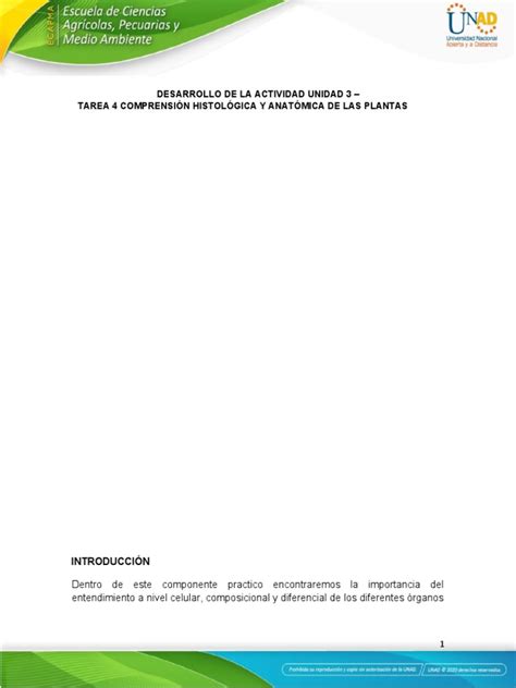 Unidad 3 Tarea 4 Comprensión Histológica Y Anatómica De Las Plantas
