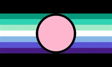 Fictogay Fictohomo Gender Flags Flag Gender Identity