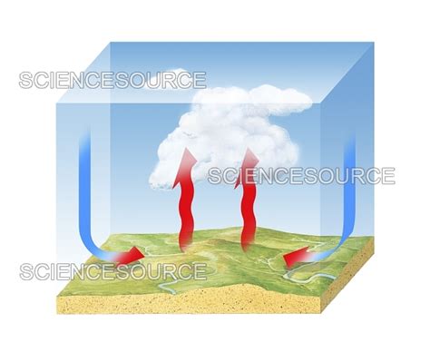 Convection Cloud Formation Diagram Stock Image Science Source Images
