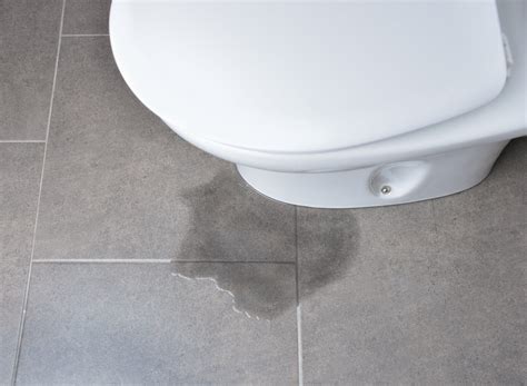 9 Common Causes Of A Leaky Toilet Explained Journeyman Hq