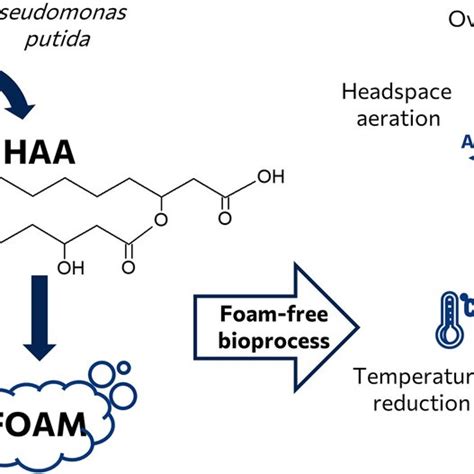 Application Of Headspace Aeration Overpressure And Temperature
