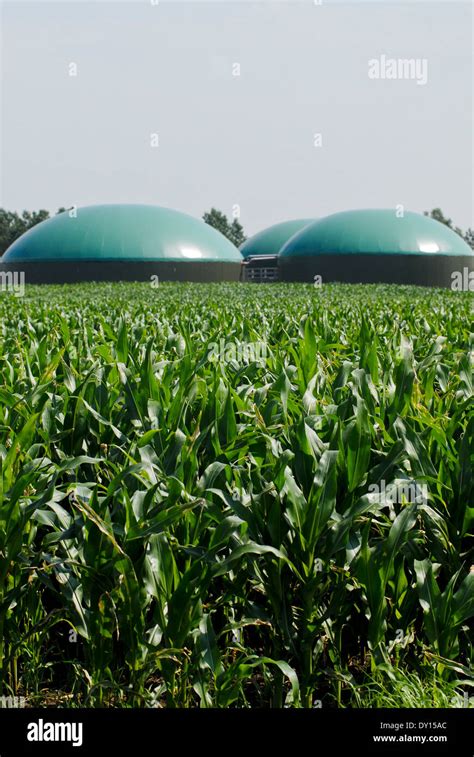 Biogas Substrate Fotos Und Bildmaterial In Hoher Auflösung Alamy