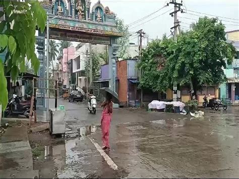 Thiruvarur District Heavy Rain School College Leave Announcement Tnn திருவாரூர தொடர் கனமழை