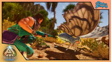 Moth Hunting Season Ark Scorched Earth Ascended Ep7 Youtube