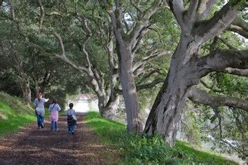 Elkhorn Slough One Of Californias Last Great Coastal Wetlands