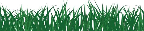 Grassy Field Cartoon Green Grass In Seamless Border Or Stripe A