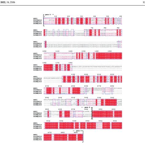 Protein Alignment Of Gene Products 8 And 9 In Spp1 And Their Homologs