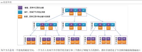 深入解析b树：数据结构、存储结构与算法优势b树的存储结构 Csdn博客