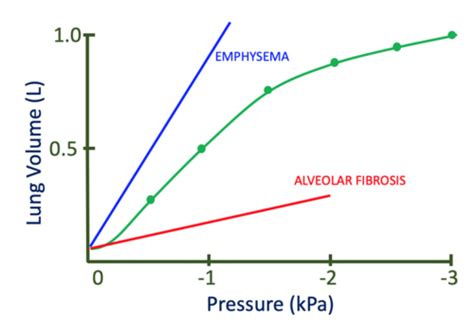3 Lung Compliance Flashcards Quizlet