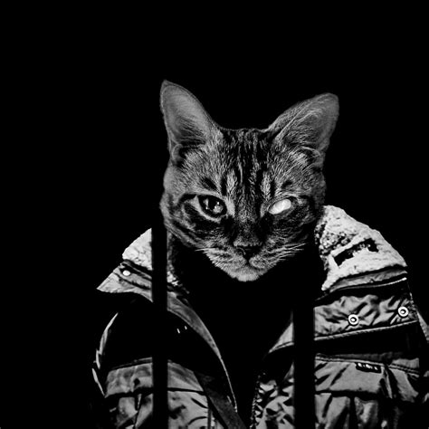 Kevin Machenaud The Independent Photographer