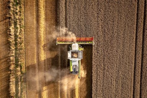 Grain Futures Markets Agricultural Futures Rjo Futures