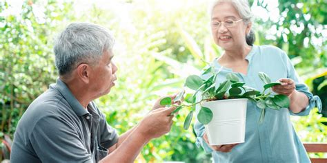 Key Signs Of Good Mental Health Mental Facts