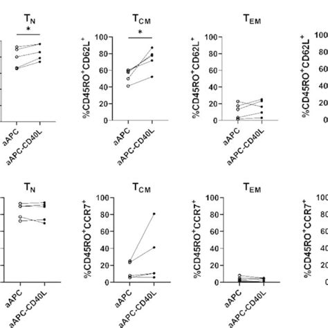 Cd8⁺ T Cells Transiently Express Cd40 After Stimulation A