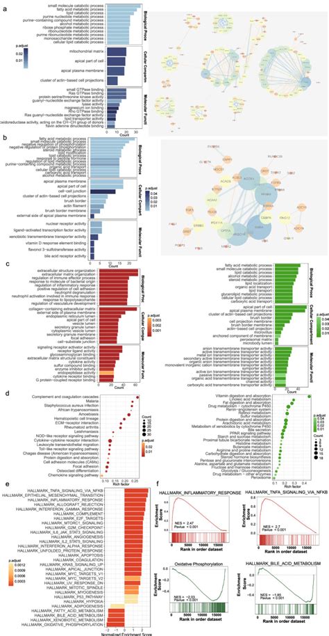 Single Cell And Microarray Chip Analysis Revealed The Underlying
