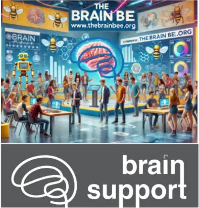 Neuroinsight