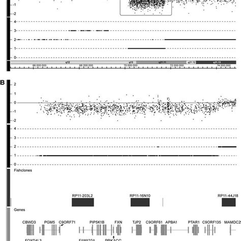 Result Of The Affymetrix Genechip ª Genome Wide Human Snp Array 60 Download Scientific Diagram