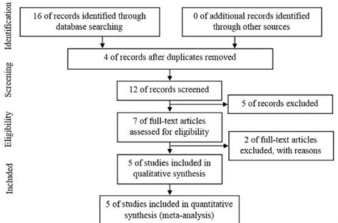 5 Steps Of Meta Analysis Caqwechoices