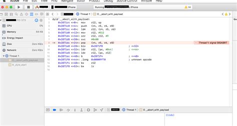 Ios App Crashes Despite Of Build Succeeds Xcode Stack Overflow
